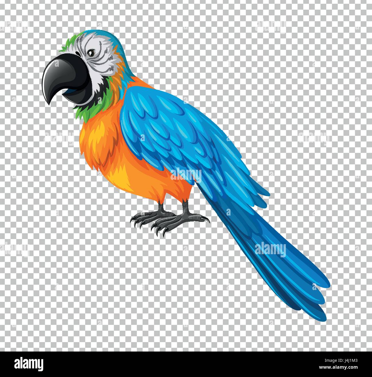 Colorful parrot on transparent background illustration Stock Vector ...