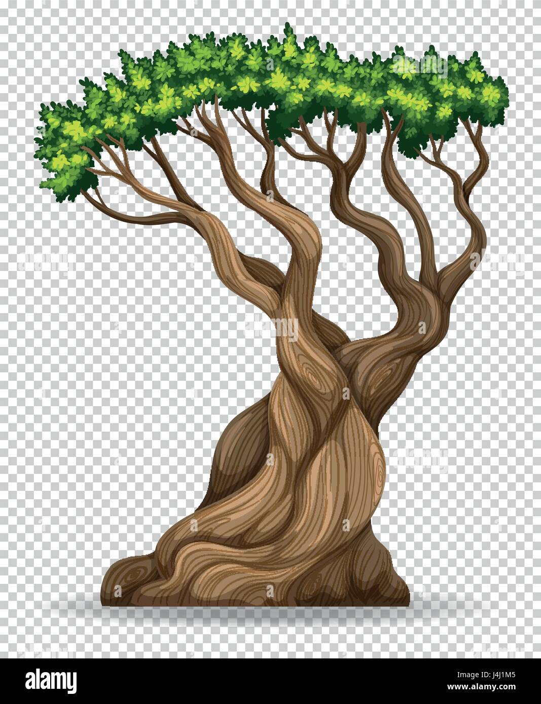Big Tree Trunk Clip Art