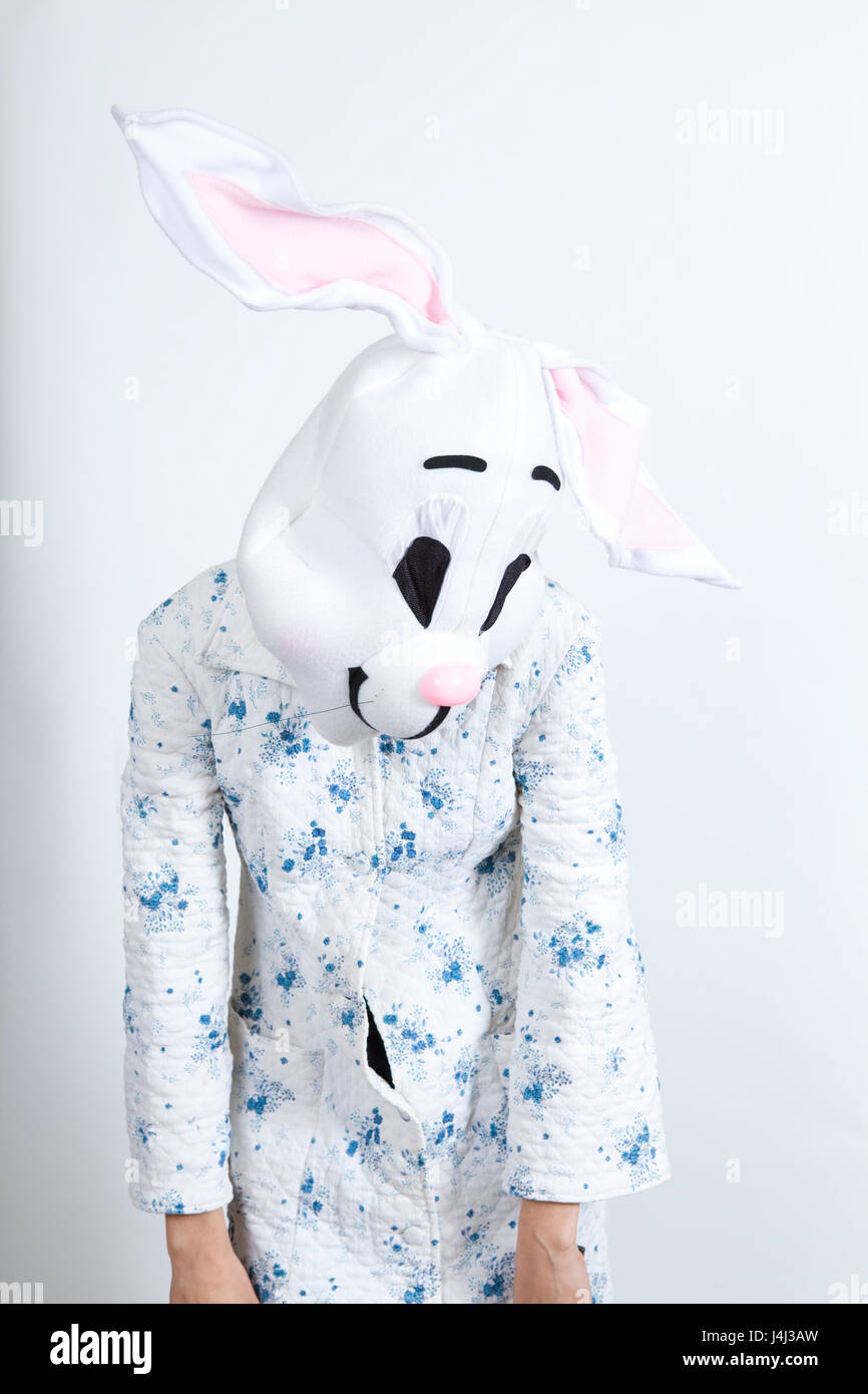 Rabbit seems hi-res stock photography and images - Alamy