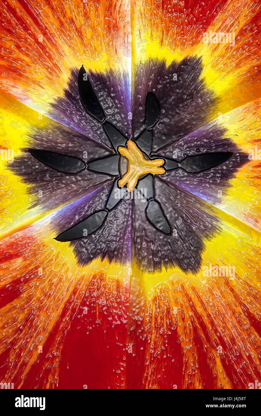 Abstract manipulation hi-res stock photography and images - Alamy