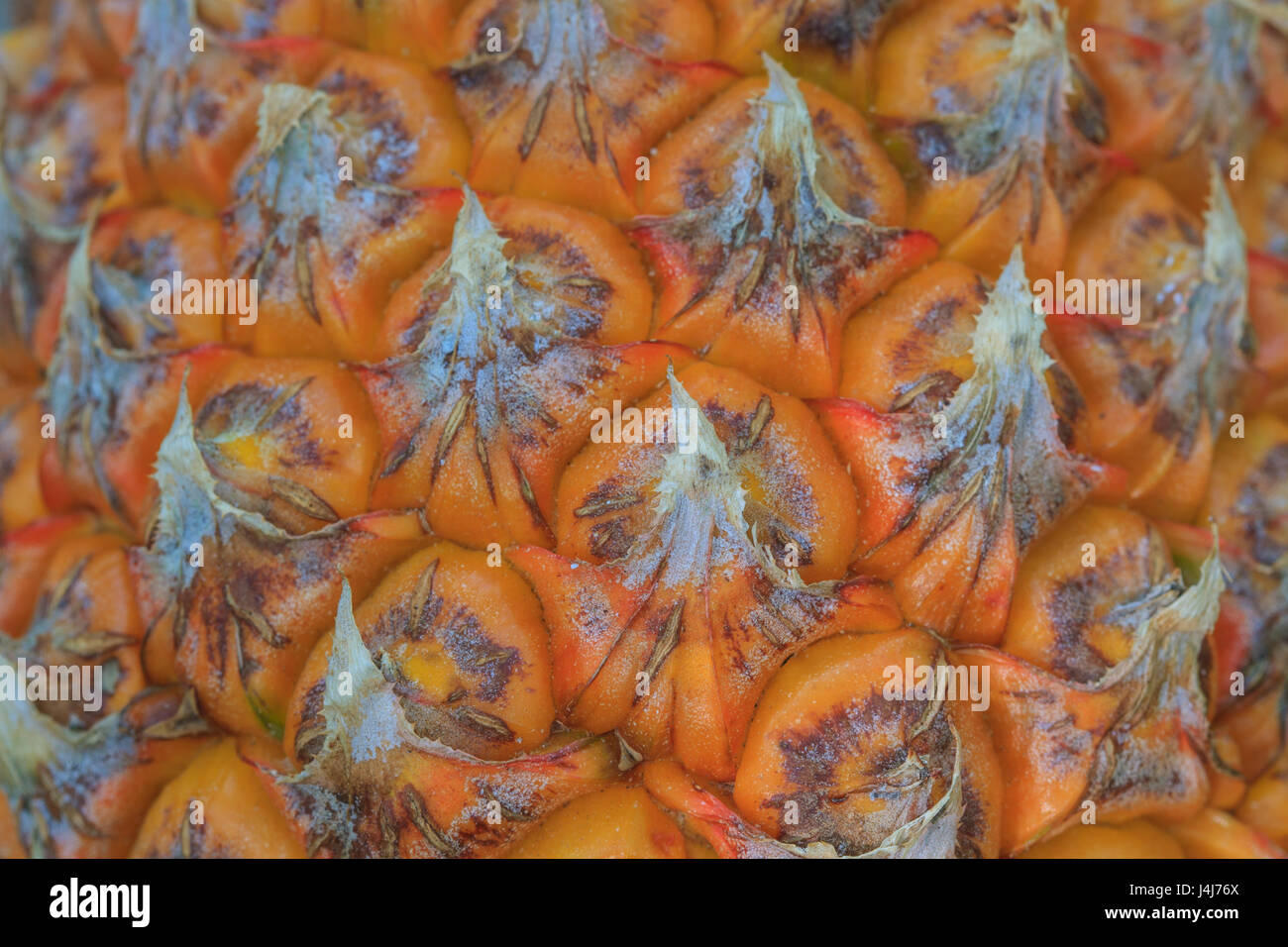 close up texture of Pineapple background, can be used as background ...