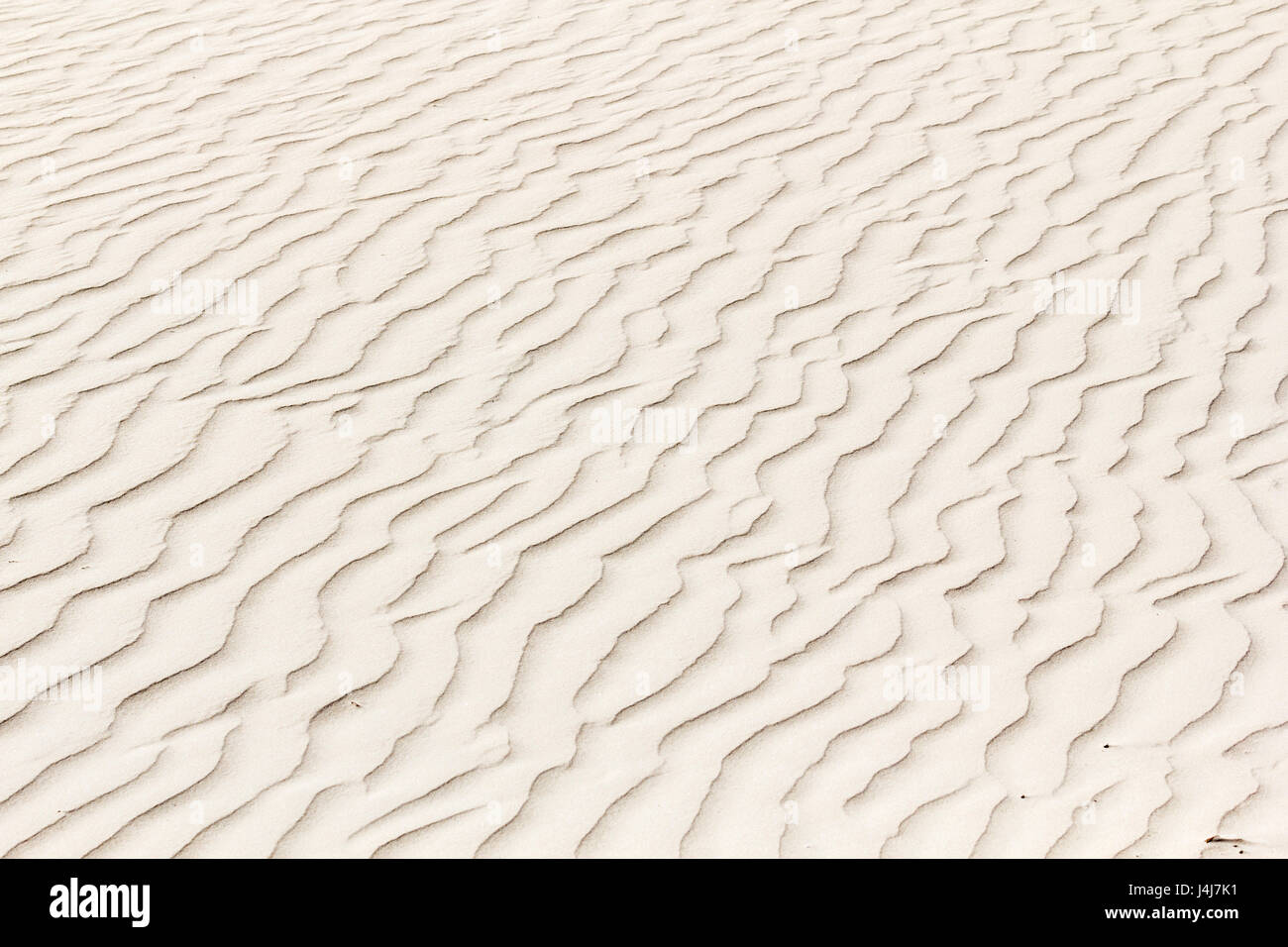 Ripples in the sand of a beach, formed by wind. Texture, Backgrounds ...