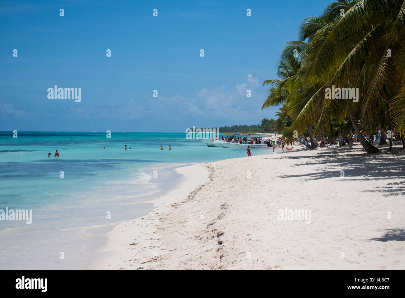 Caribbean coastline beautiful palm sandy hi-res stock photography and ...