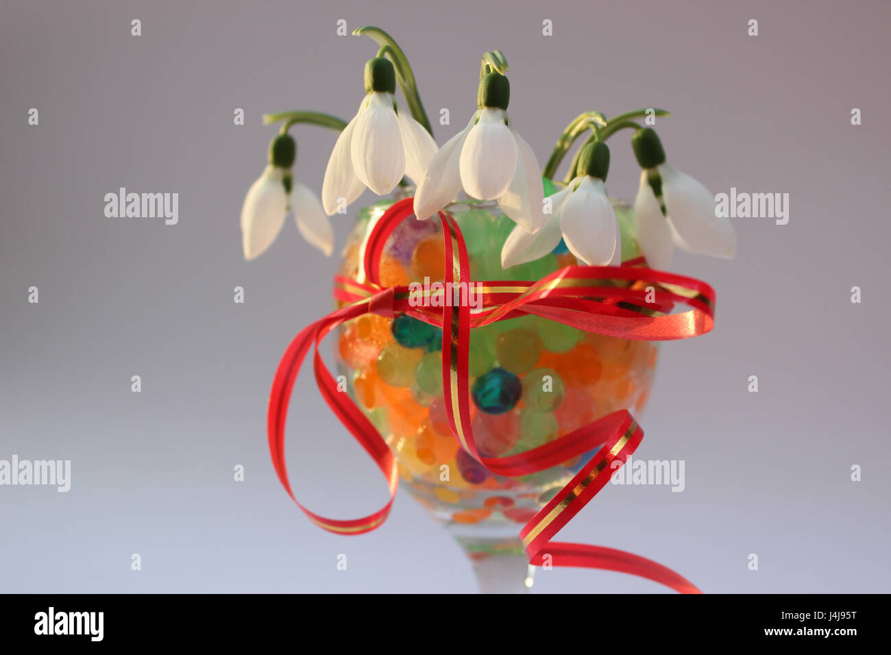 snowdrops with red ribbon on white background Stock Photo - Alamy