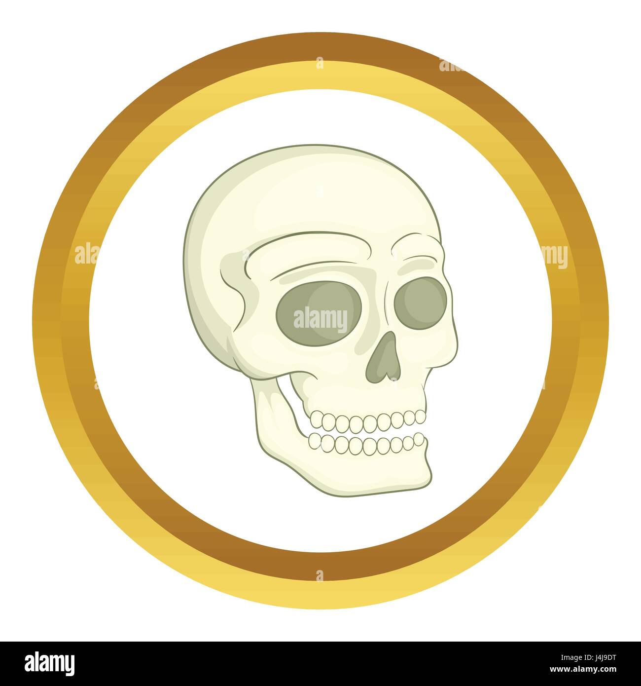 Human skull vector icon Stock Vector Image & Art - Alamy