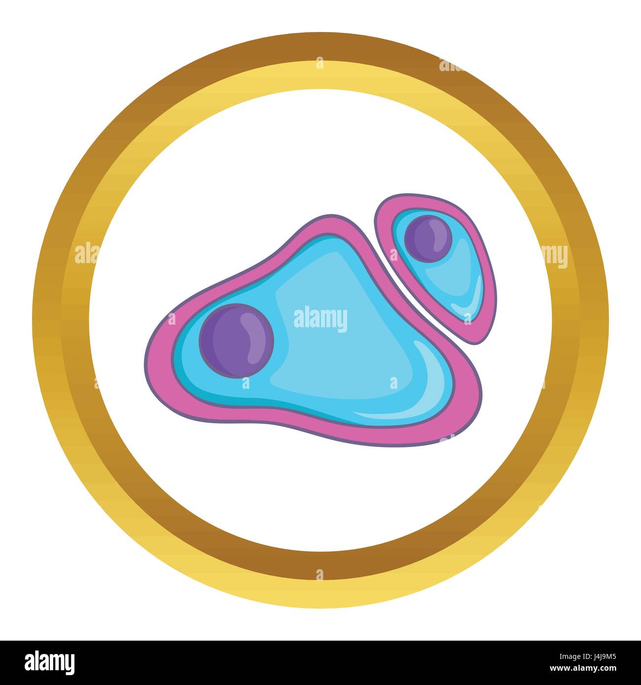 Cell Nucleus Vector Icon High Resolution Stock Photography and Images ...