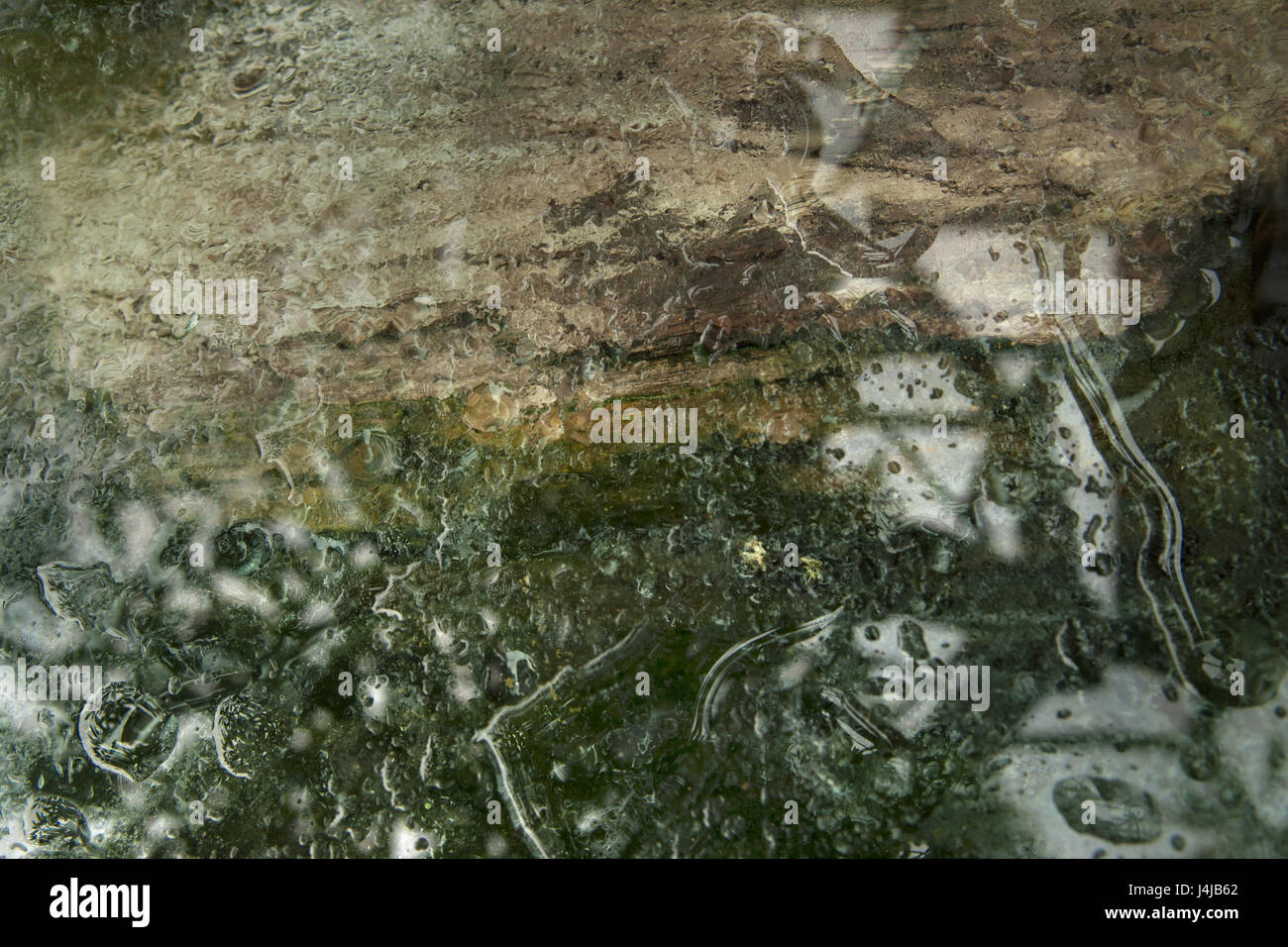 Abstract background: distorted reflection in the water from below green ...