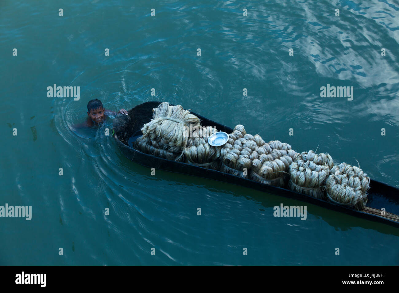 A palm tree boat also called donga carries jute fibres on the marsh in ...