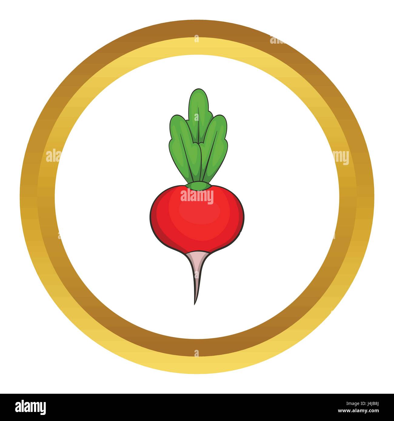 Radish vector icon Stock Vector Image & Art - Alamy