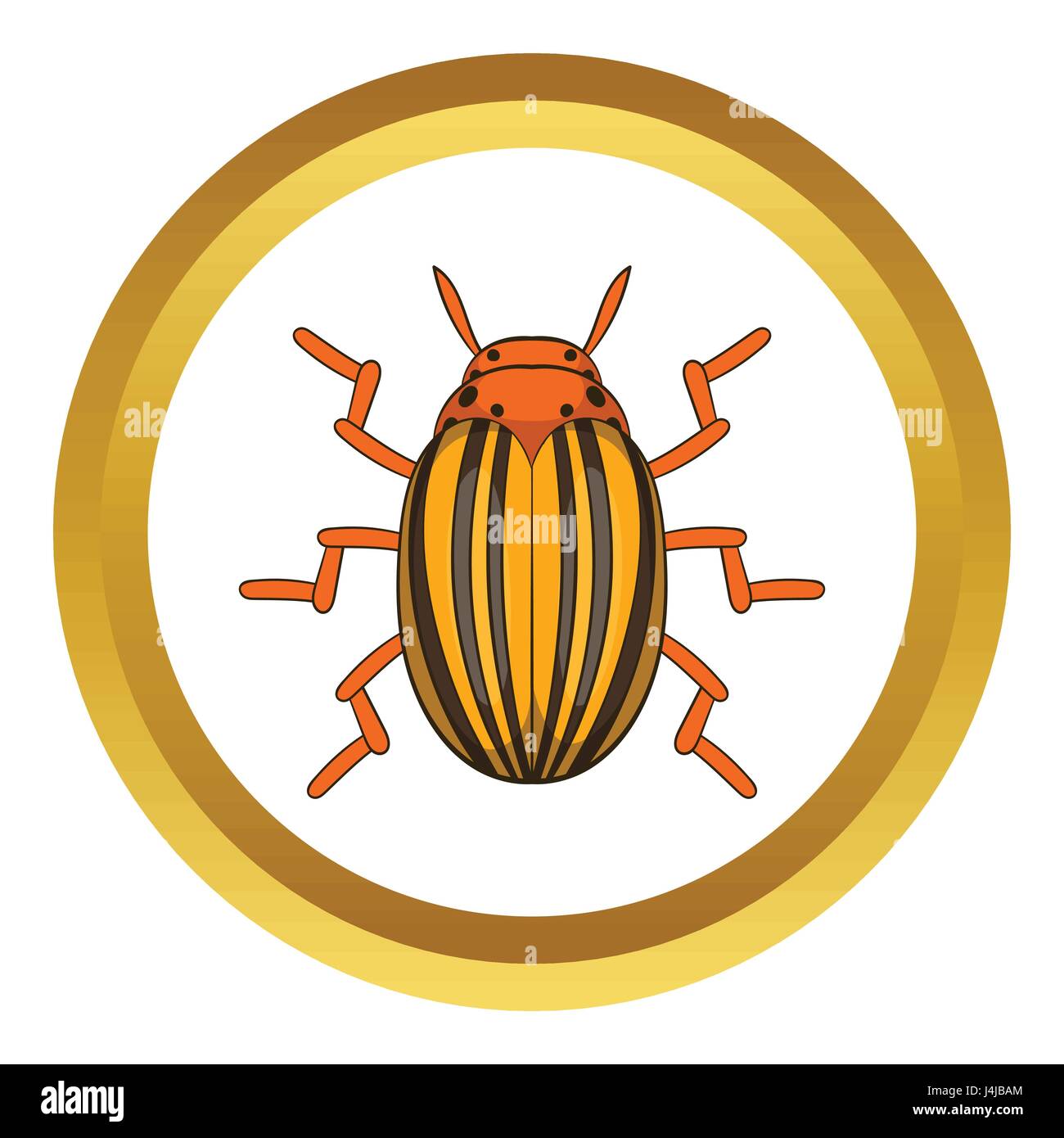 Colorado potato beetle vector icon Stock Vector Image & Art - Alamy
