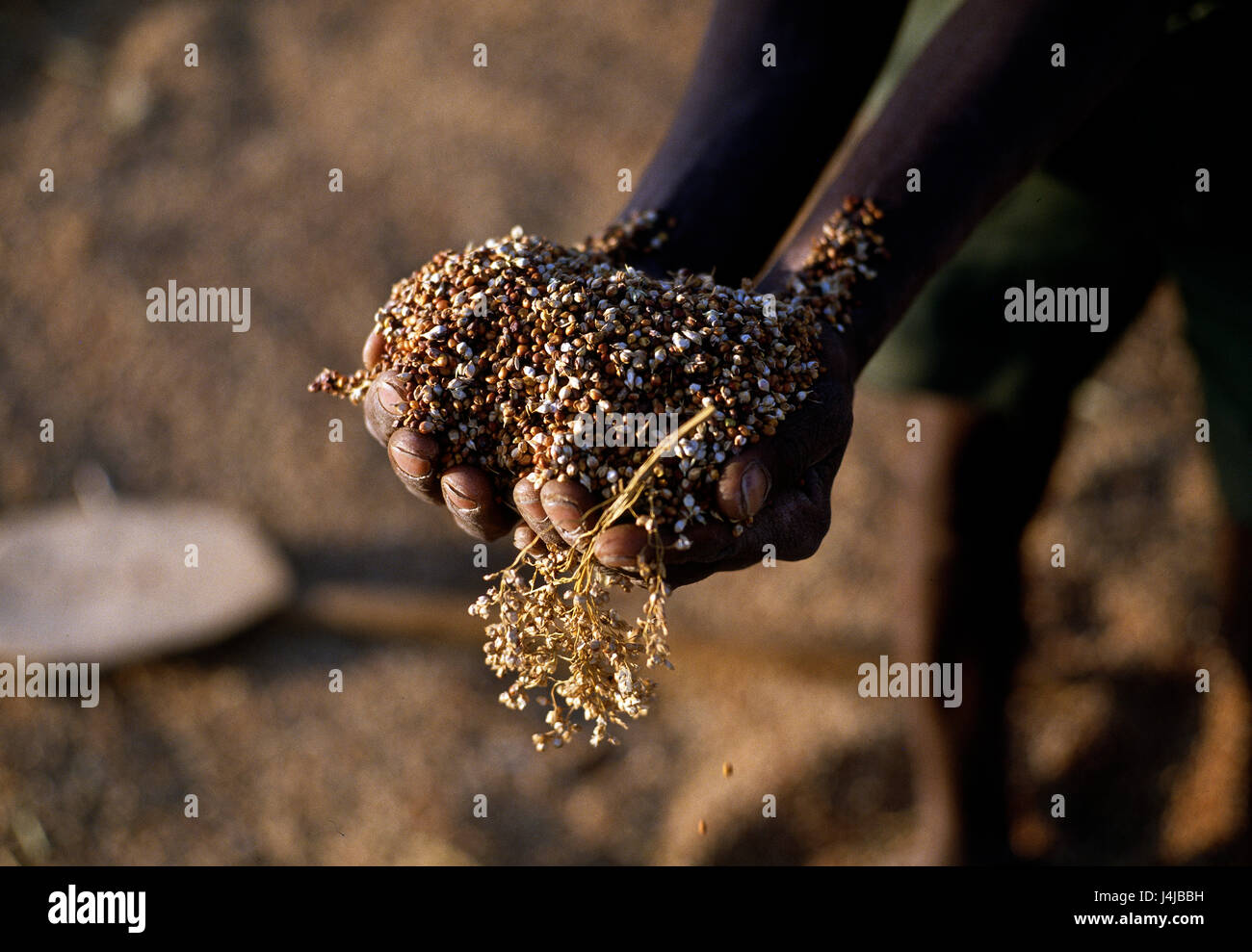 A child holding two handfuls of grain, Kenya, East Africa. Derek Hudson ...