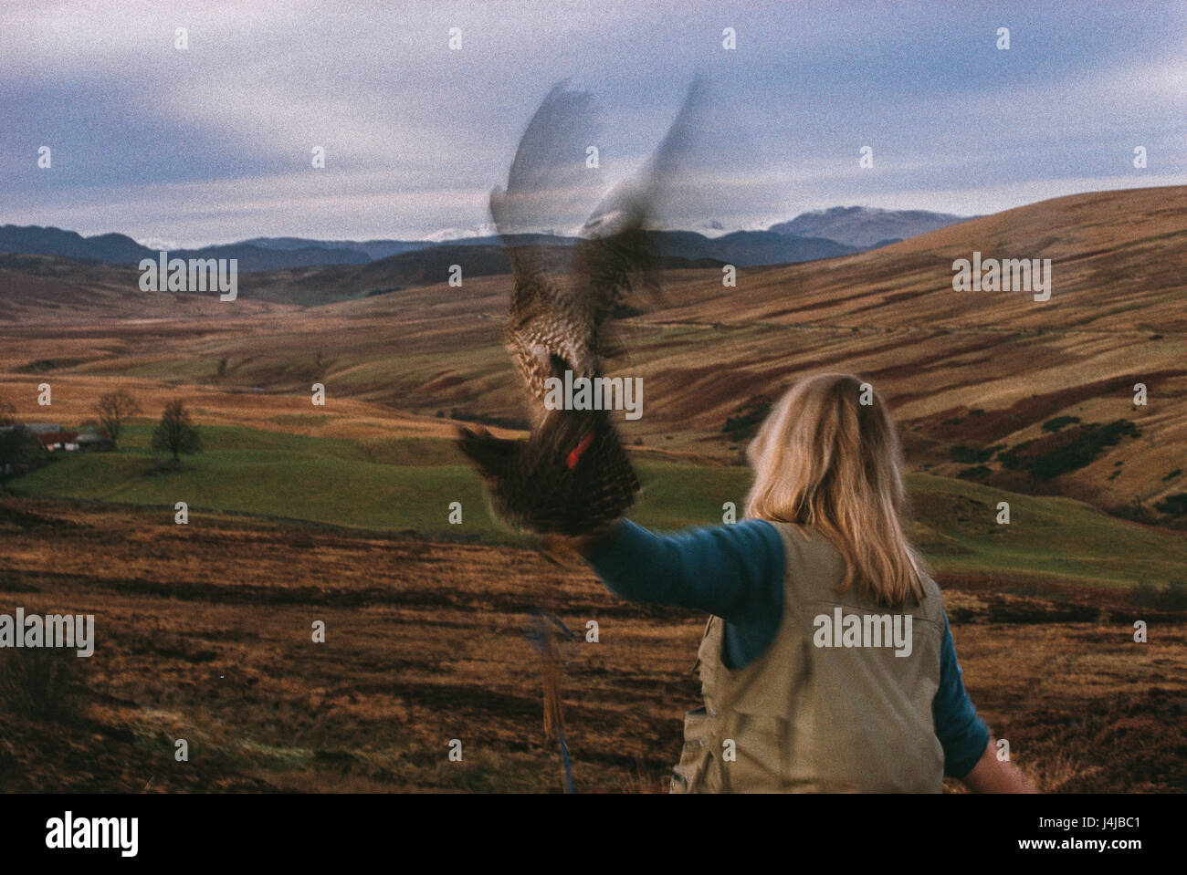 Scottish moors hi-res stock photography and images - Alamy