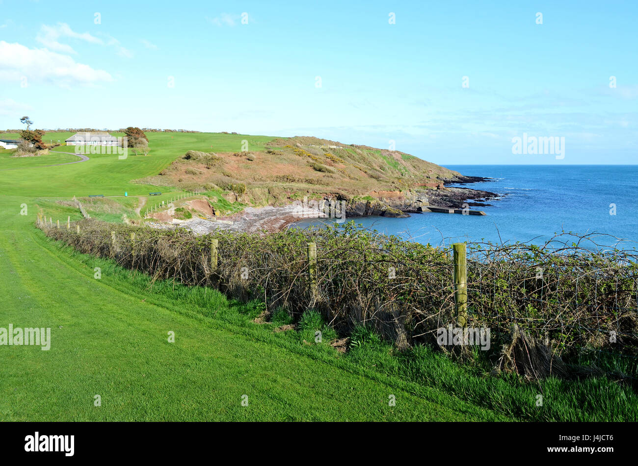 the coast at trabolgan in county cork, ireland Stock Photo - Alamy