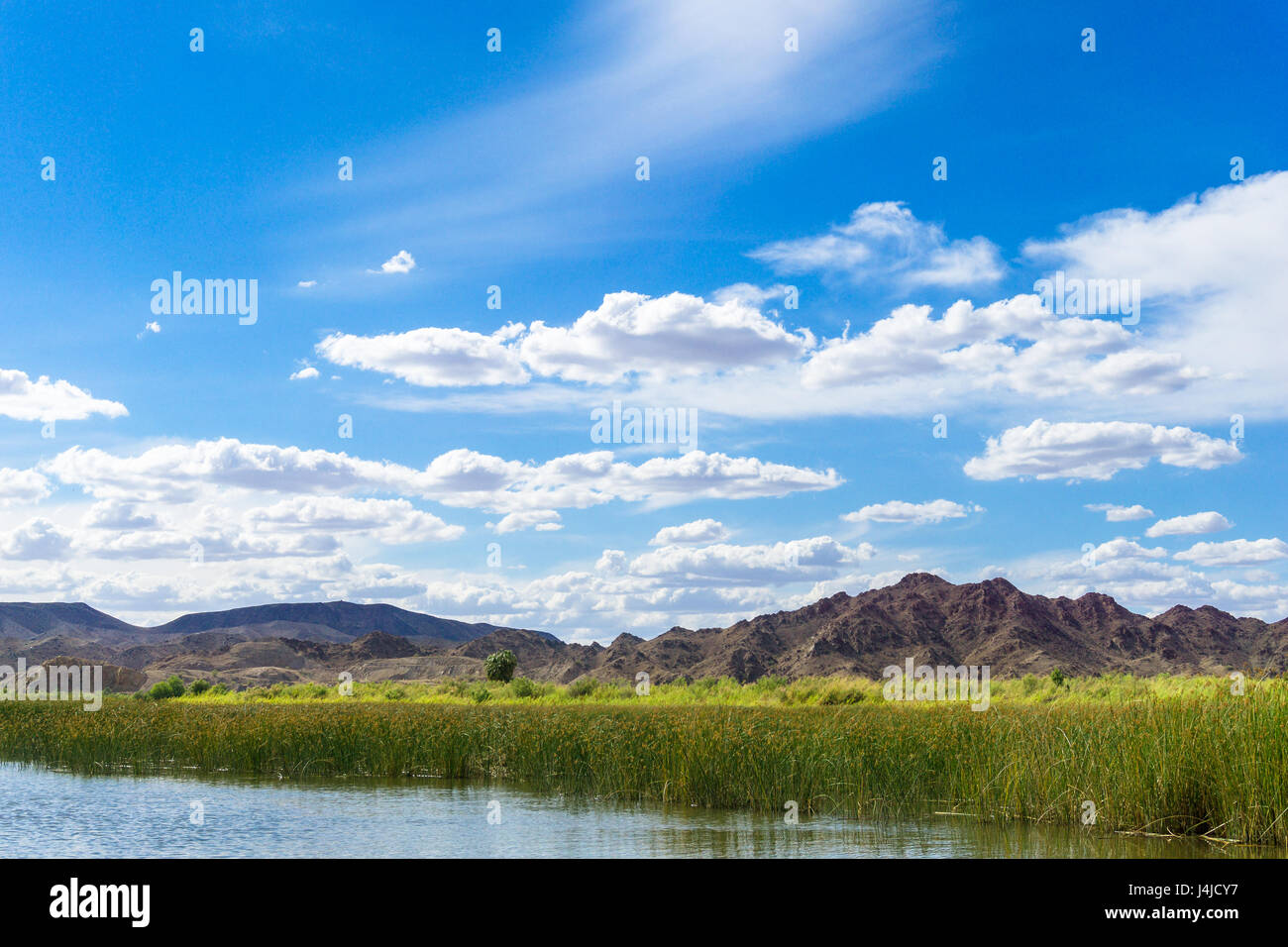 Colorado river yuma arizona hi-res stock photography and images - Alamy
