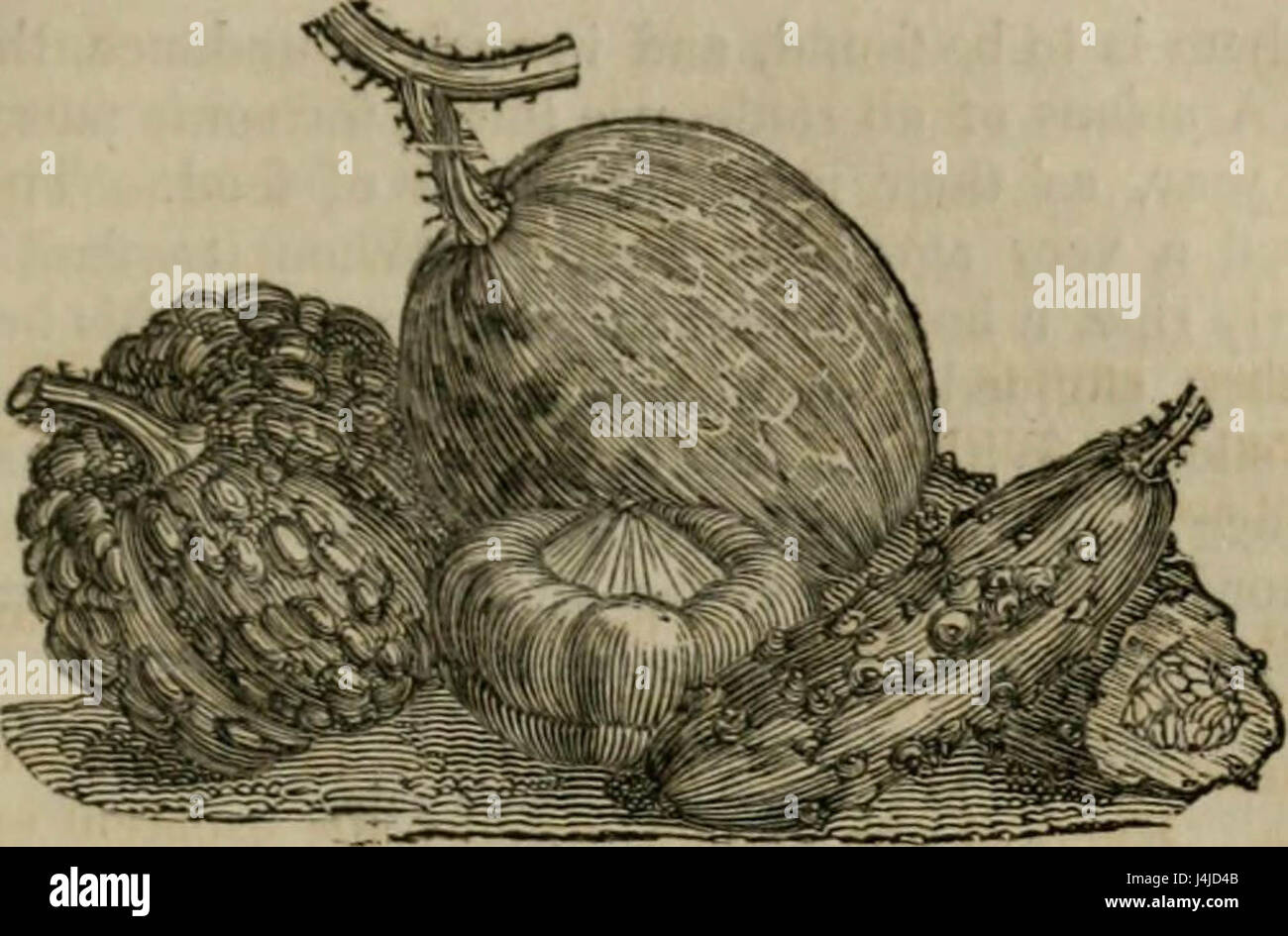 "A description and history of vegetable substances, used in the arts ...