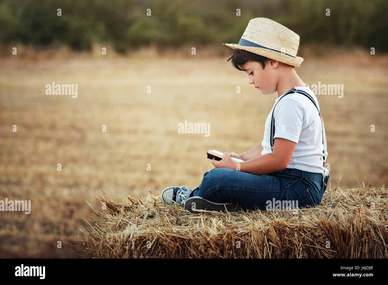 Boy reading a book in the field Stock Photo - Alamy
