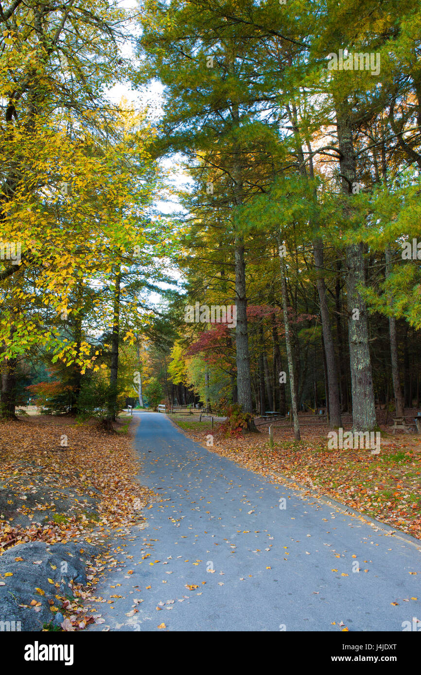 Road surrounded fall colors hi-res stock photography and images - Alamy