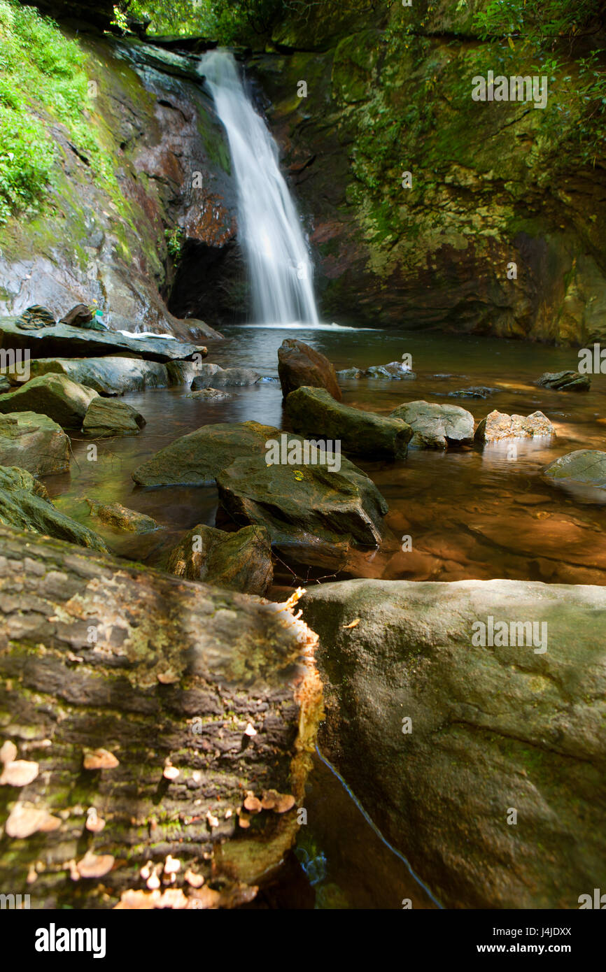 Courthouse falls framed by log and rocks Stock Photo - Alamy
