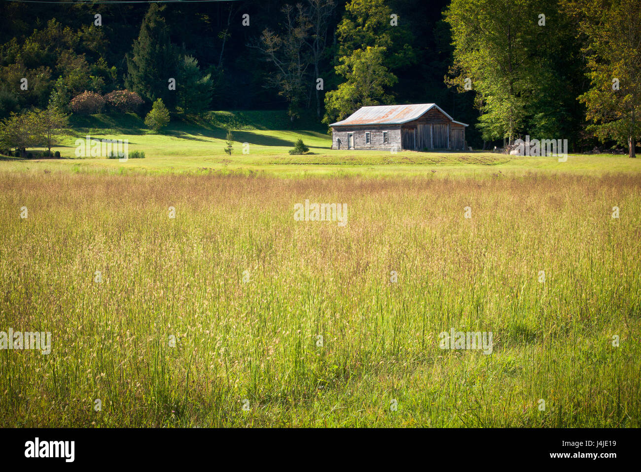 Idyllic farm house hi-res stock photography and images - Alamy