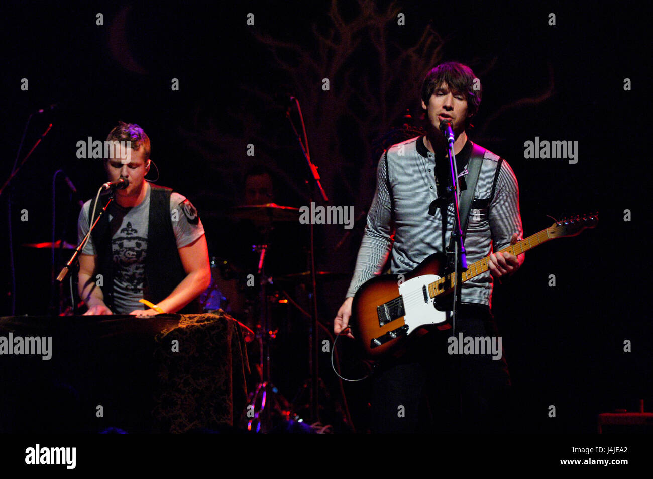 Zach Filkins Pedalboard