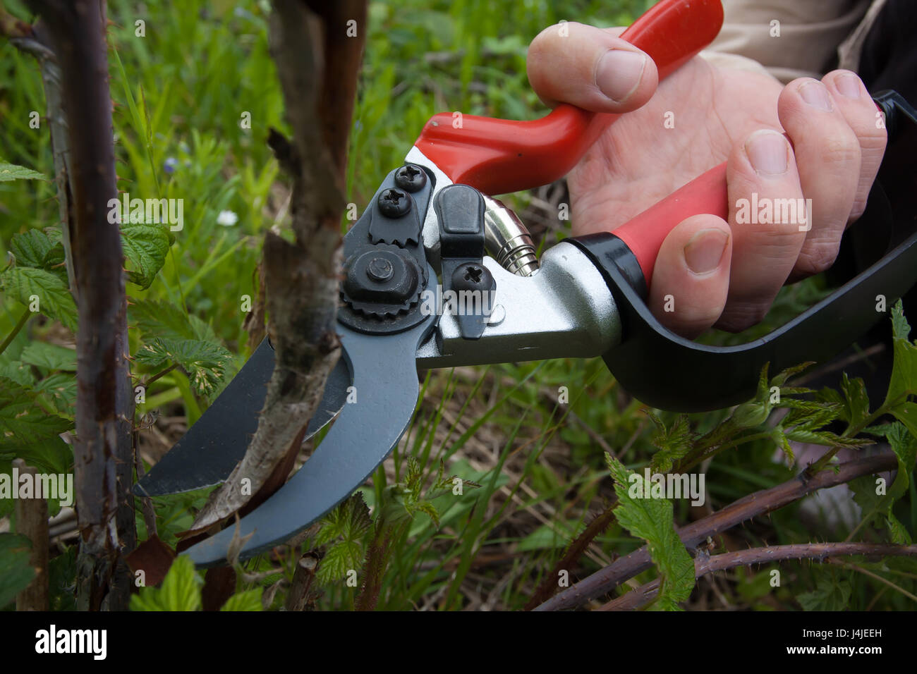 Hand shears hi-res stock photography and images - Alamy