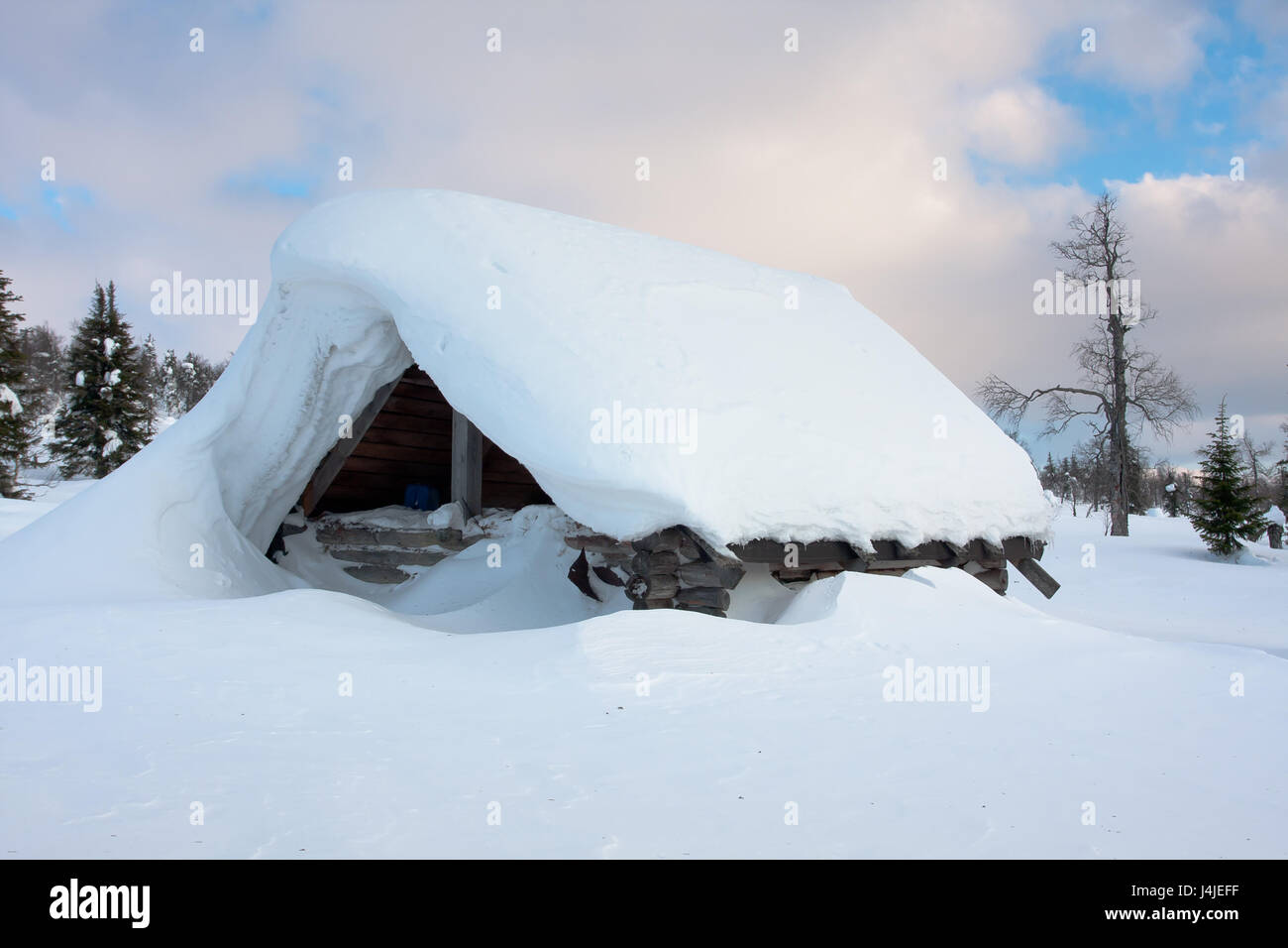 Tree shelter snow hi-res stock photography and images - Alamy