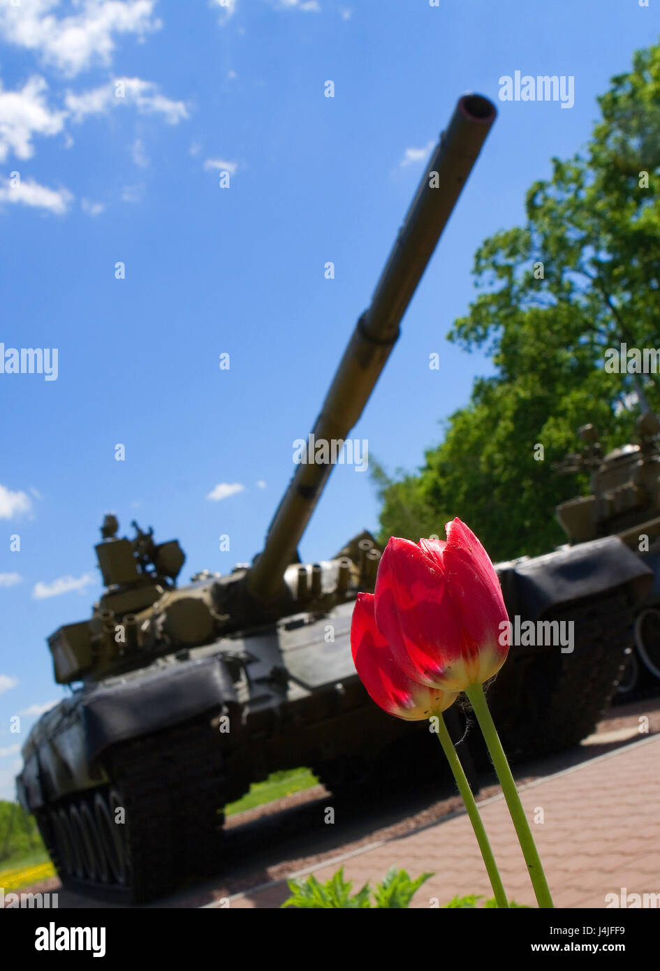 World war tank russian 1945 hi-res stock photography and images - Alamy