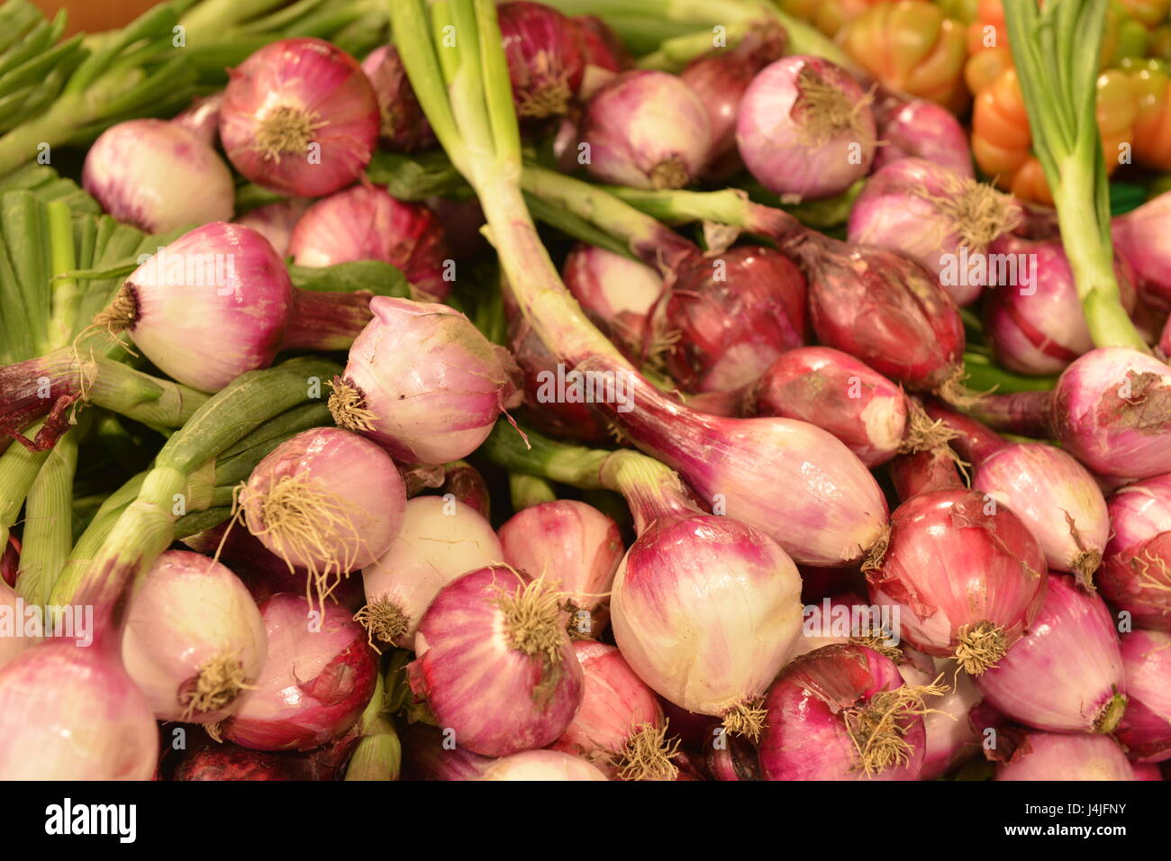 Uncooked spring onion hi-res stock photography and images - Alamy