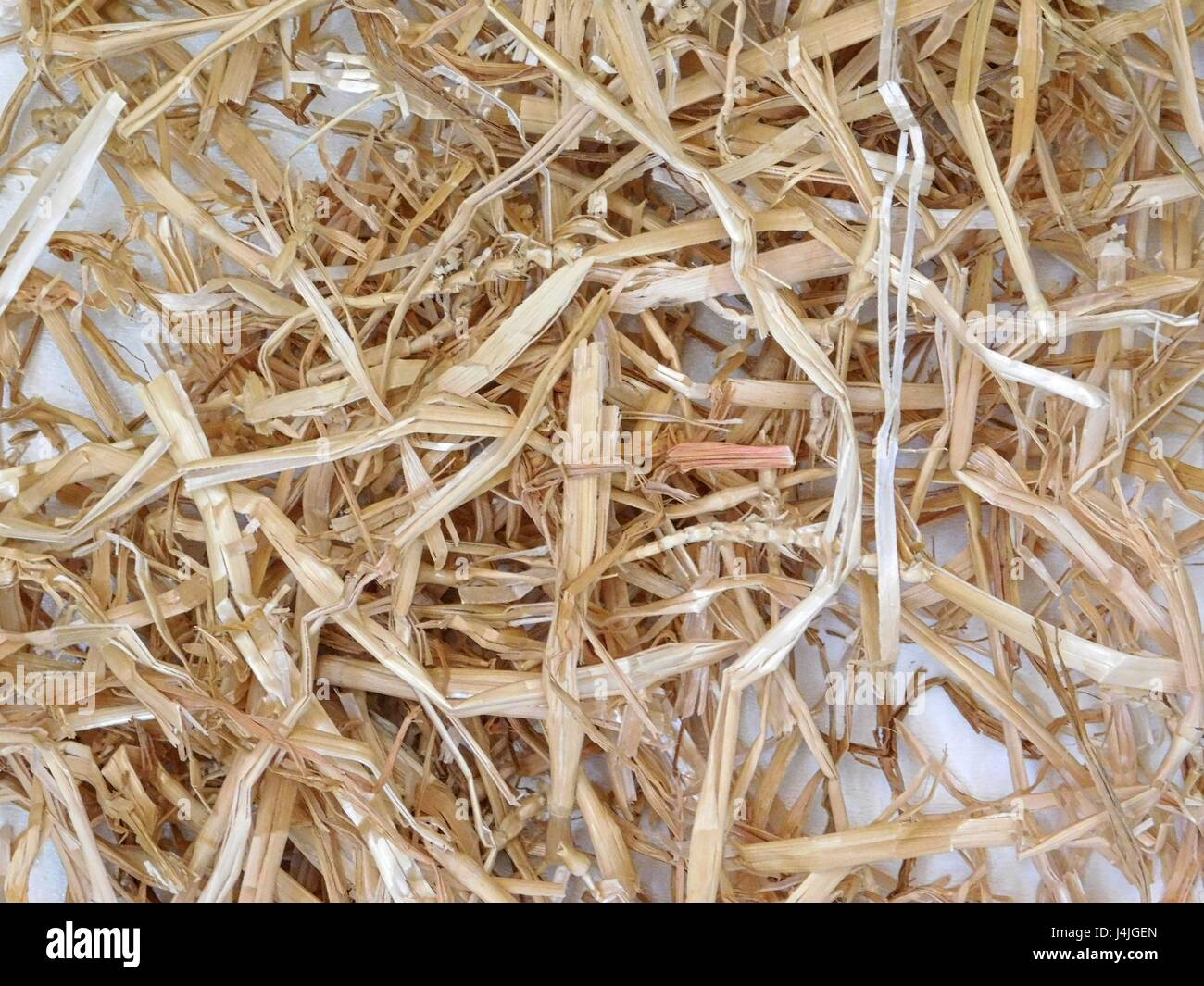 Texture of straw Stock Photo - Alamy