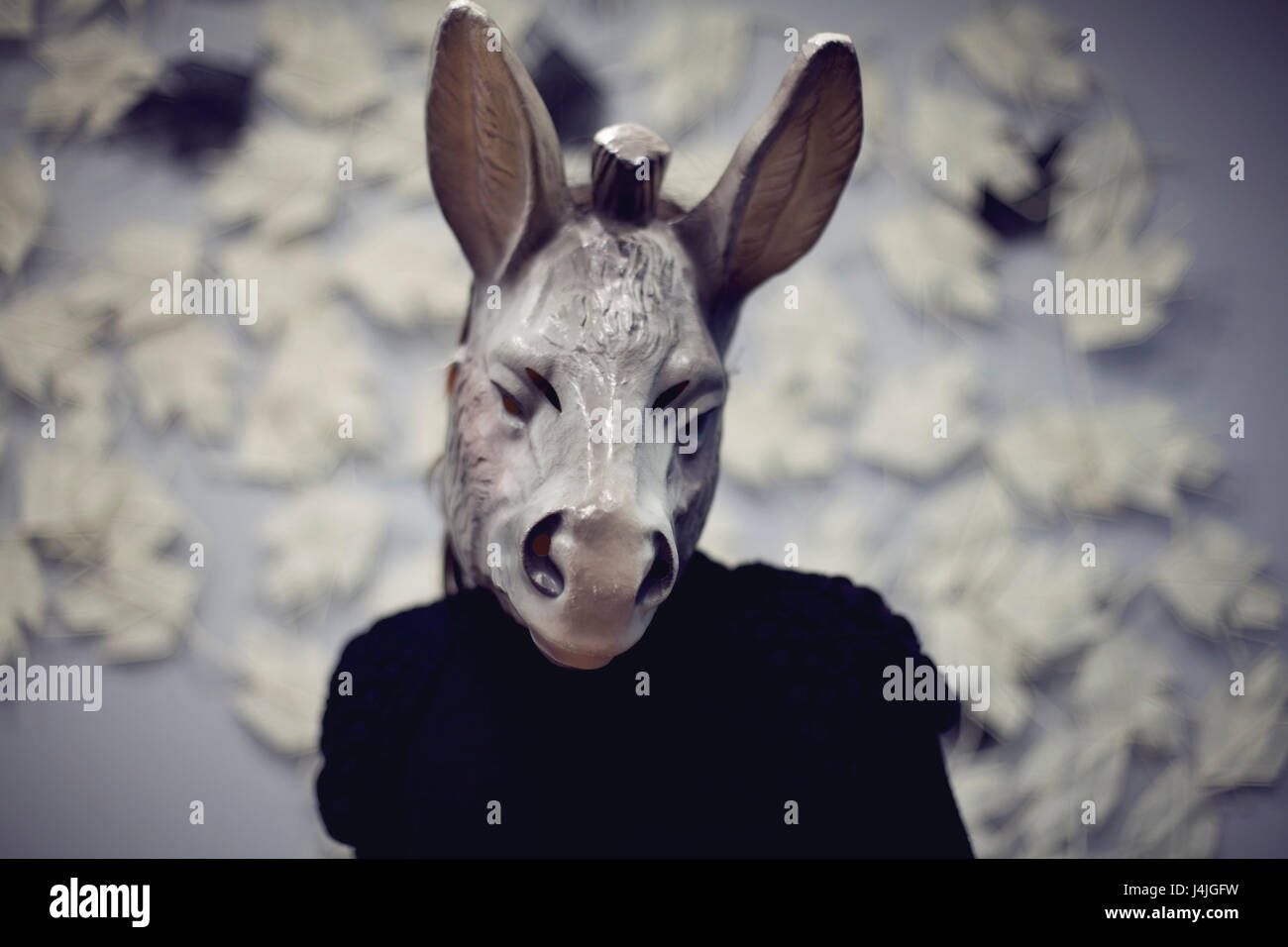 A woman wearing a donkey mask doing a selfie Blured color photography ...