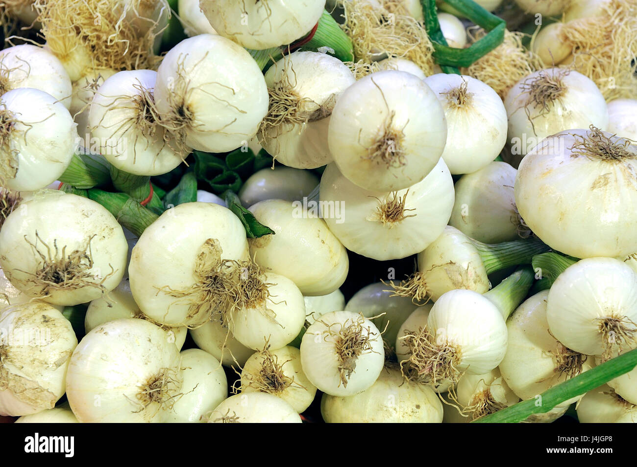 Uncooked spring onion hi-res stock photography and images - Alamy