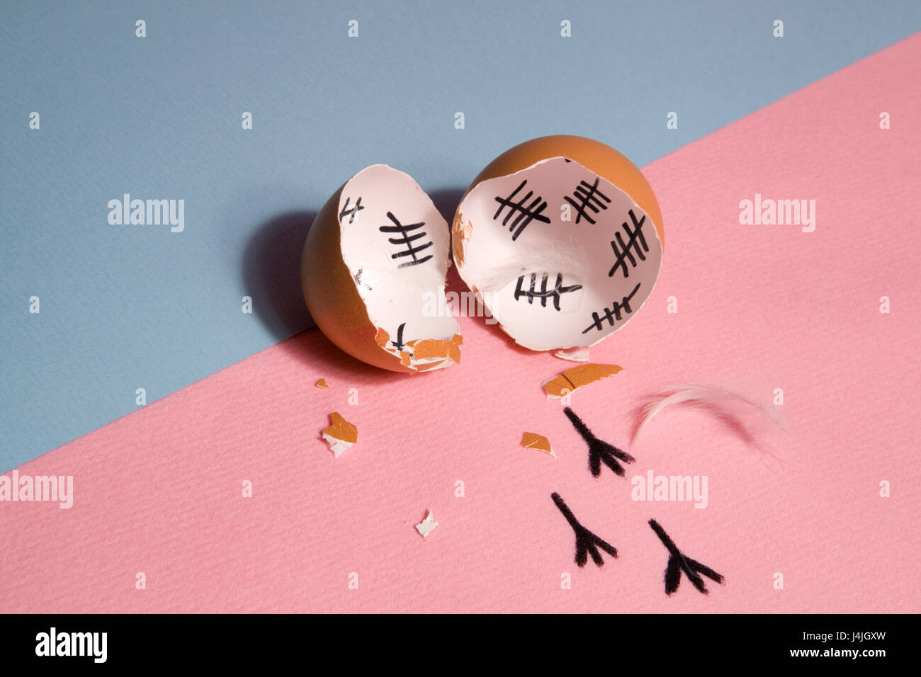 The counting of the days on a broken egg with footprint on a pink and ...