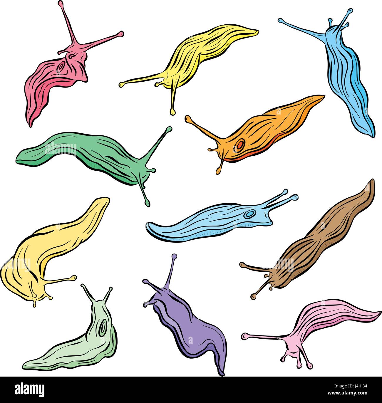 Collection of Colour Line Art Slug Illustration Vector Stock Vector ...