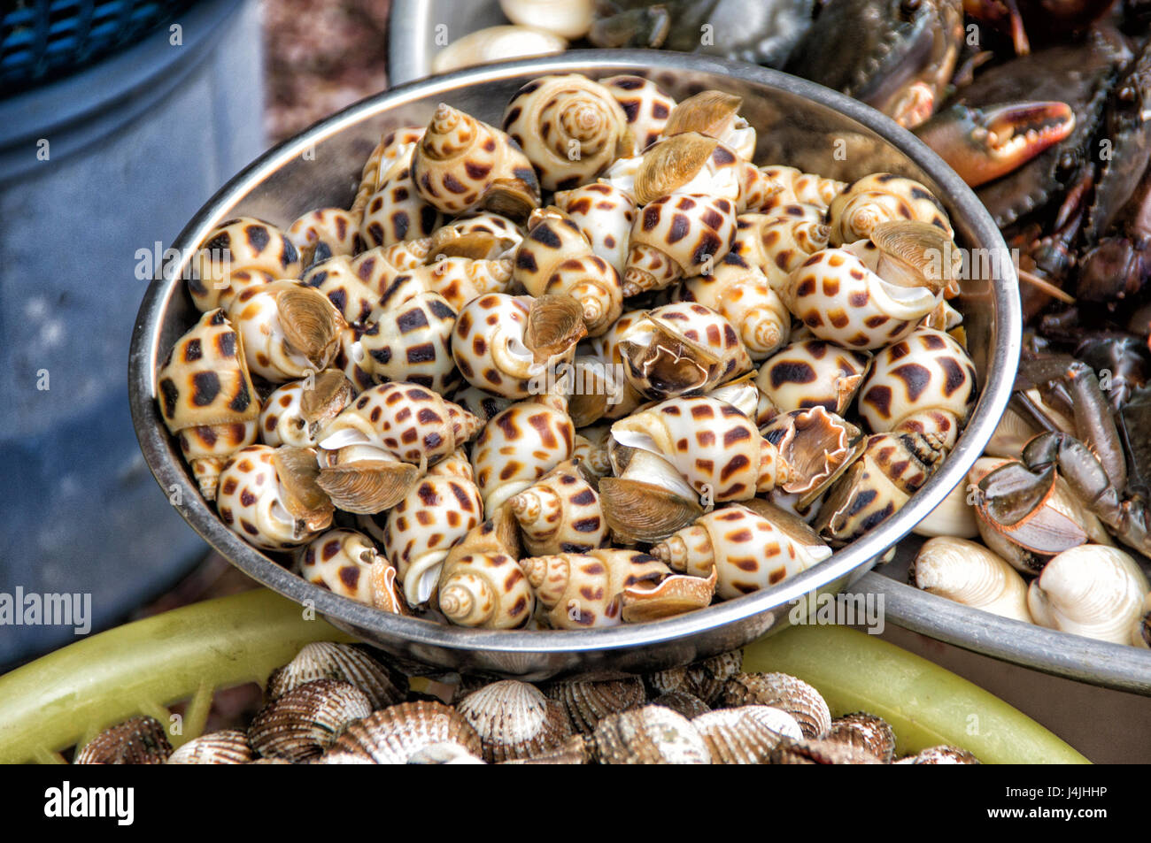 Snail's for sale in an open air market in Hanoi, Vietnam Stock Photo ...