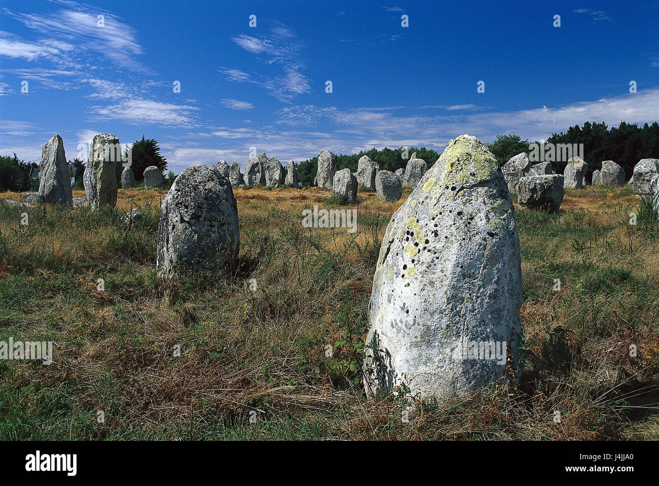 France, Brittany, Morbihan, Carnac, Alignements de Carnac, beautyful ...