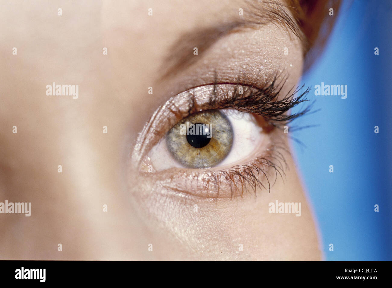 Woman, look, detail, eye ocular match, made up, discreetly, ocular make ...