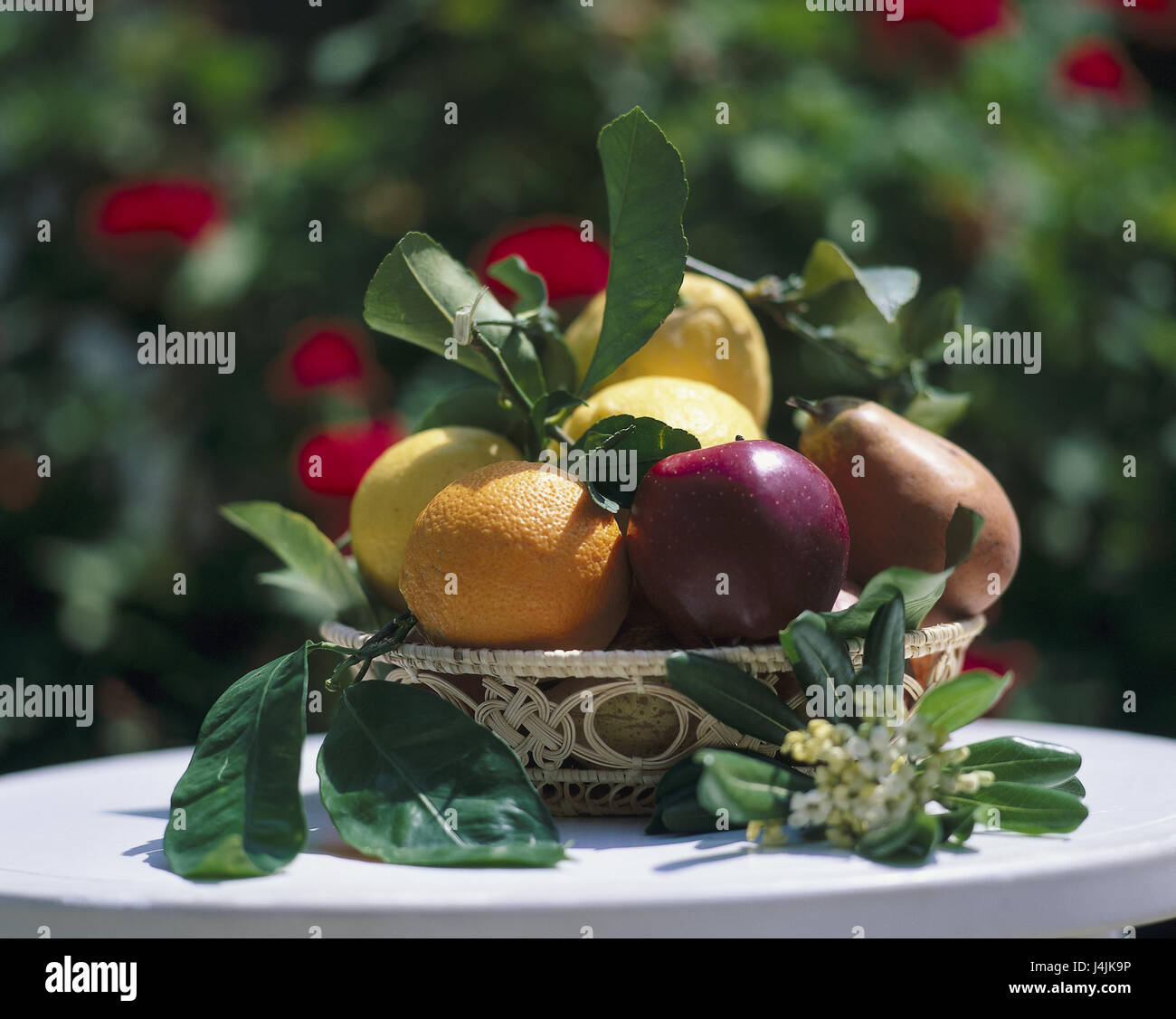 Fruit basket, fruits Europe, Italy, Calabria, fruit, fruits, freshly ...