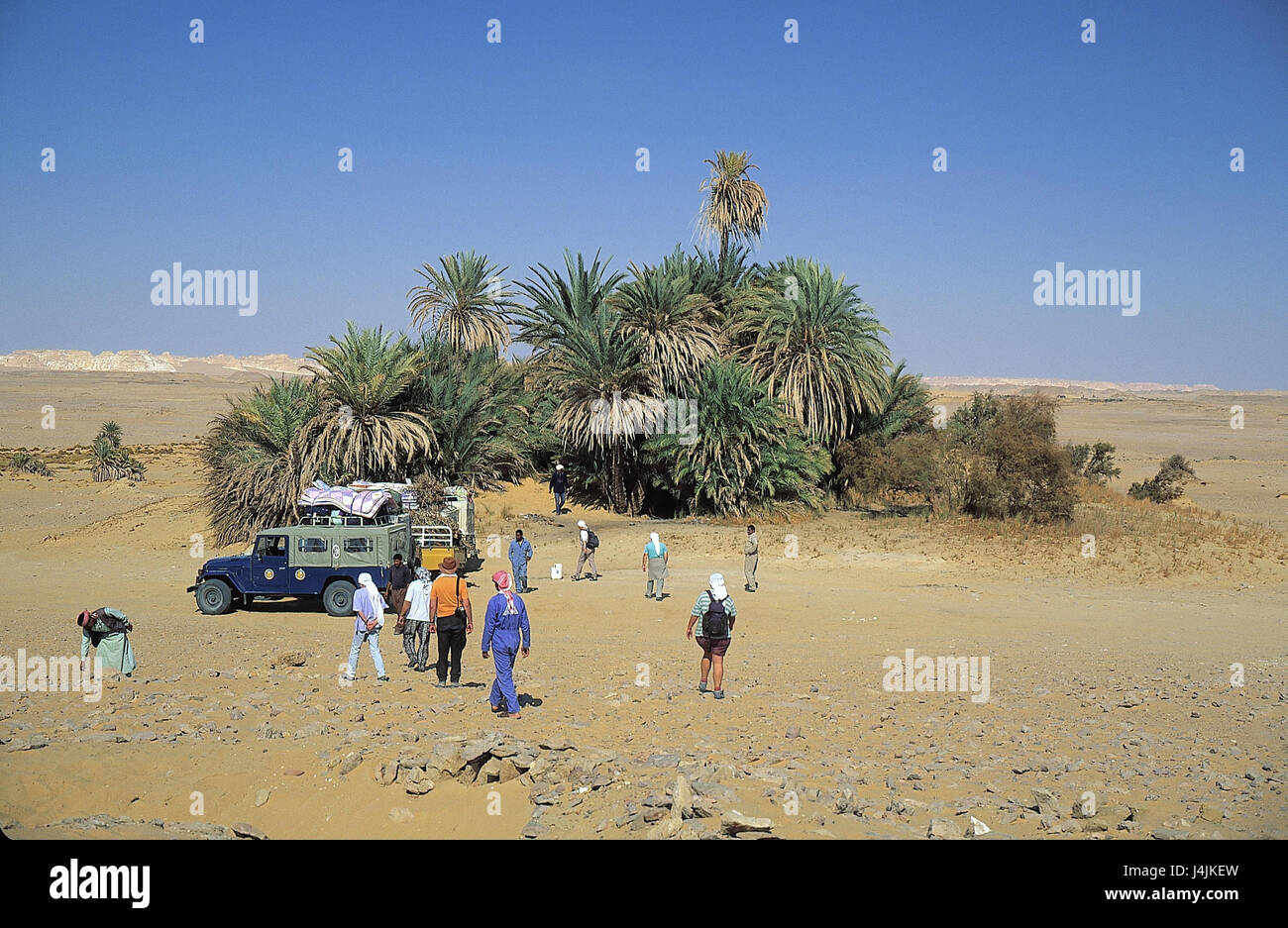 Egypt, Libyan desert, oasis, sport utility vehicle, tourist cars, car ...