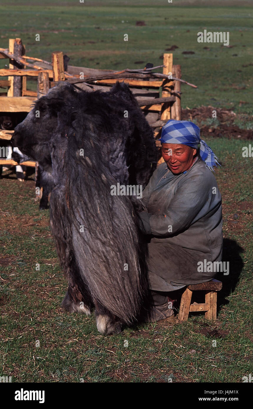 Yak riding hi-res stock photography and images - Alamy