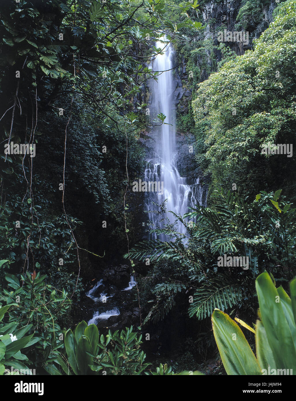 Primeval ocean hi-res stock photography and images - Alamy