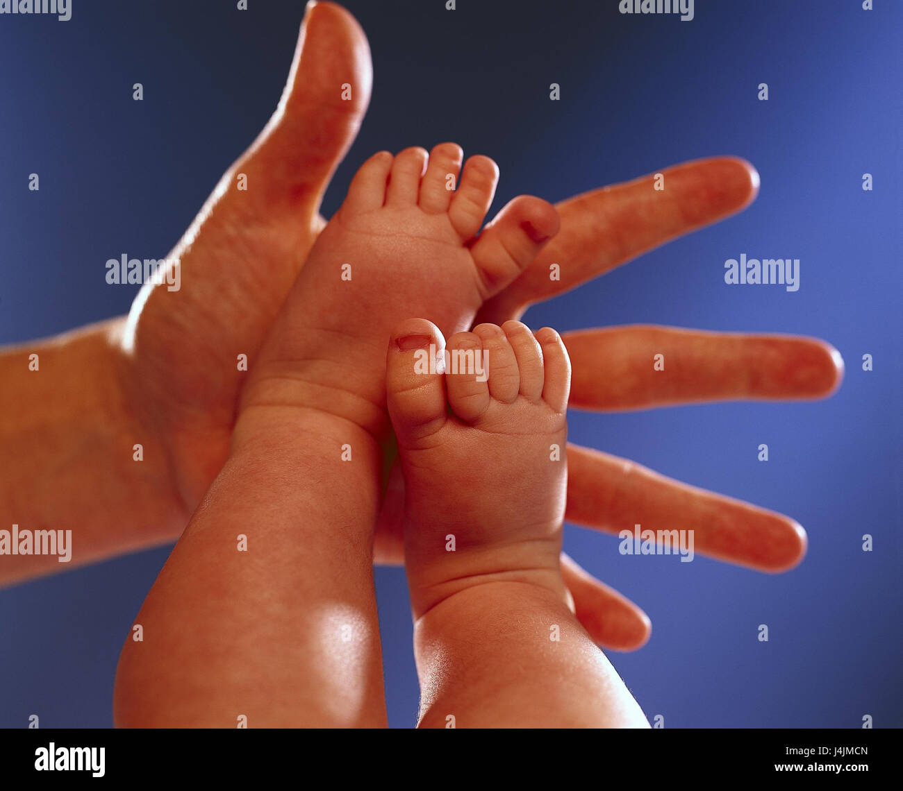 Hand, infant, feet inside, mother, woman, women's hand, baby, baby feet ...