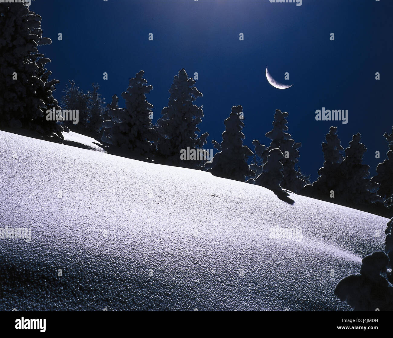 Inclination, winter wood, crescent, night [M] mountainside, snow, snow ...