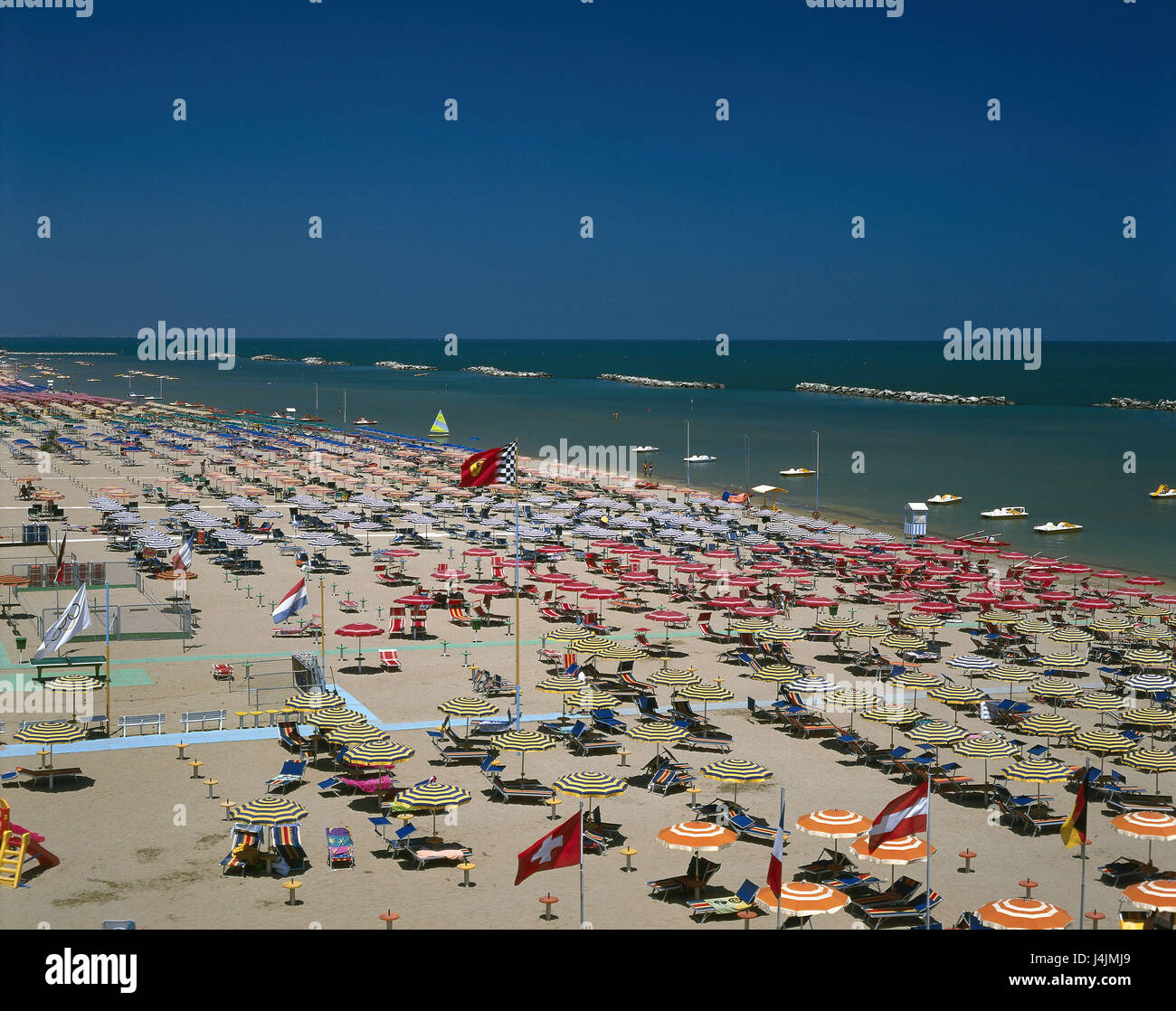 Bellaria igea marina hi-res stock photography and images - Alamy