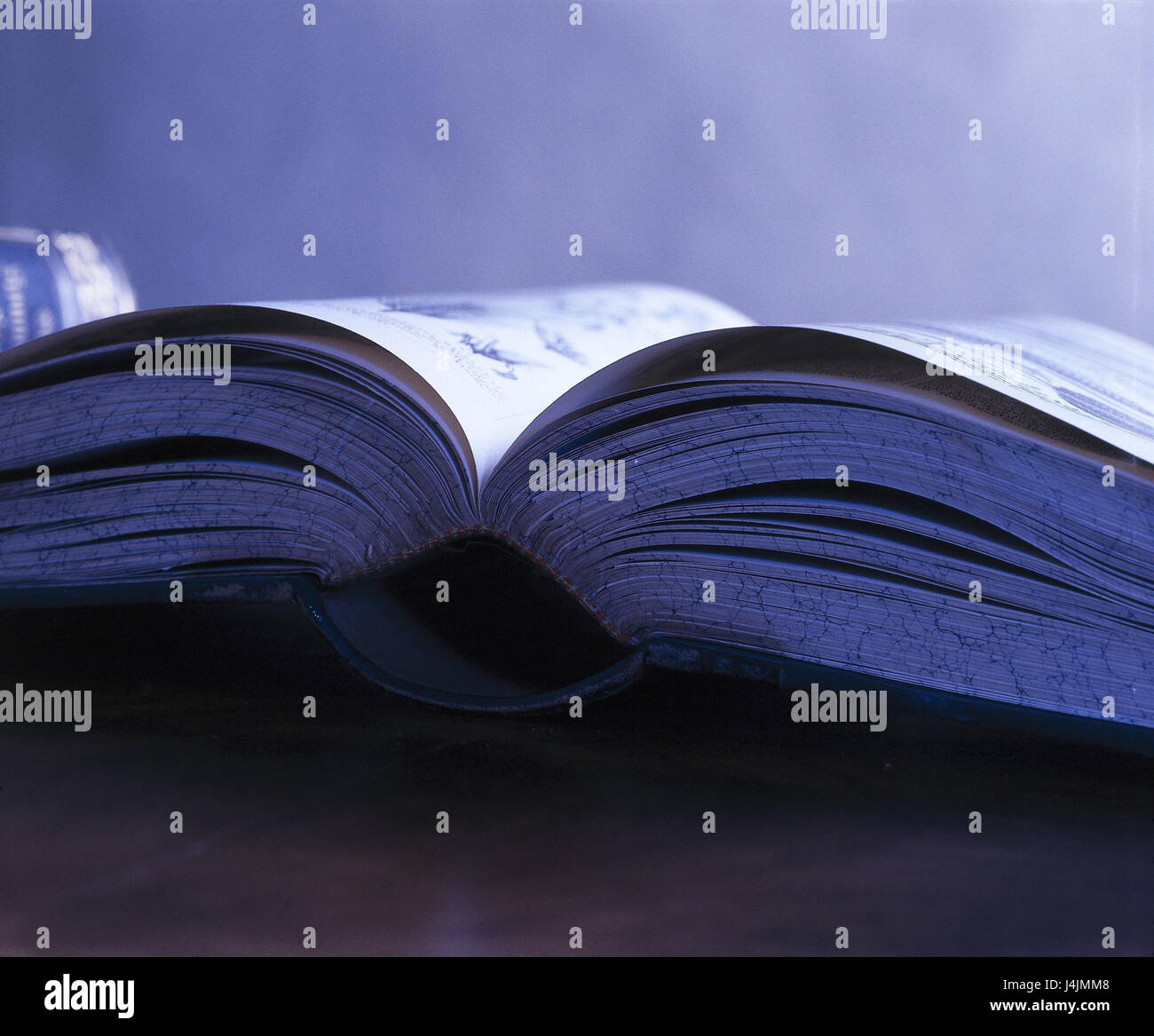 Book, whipped book pages, opened, entertainment, literature, book ...