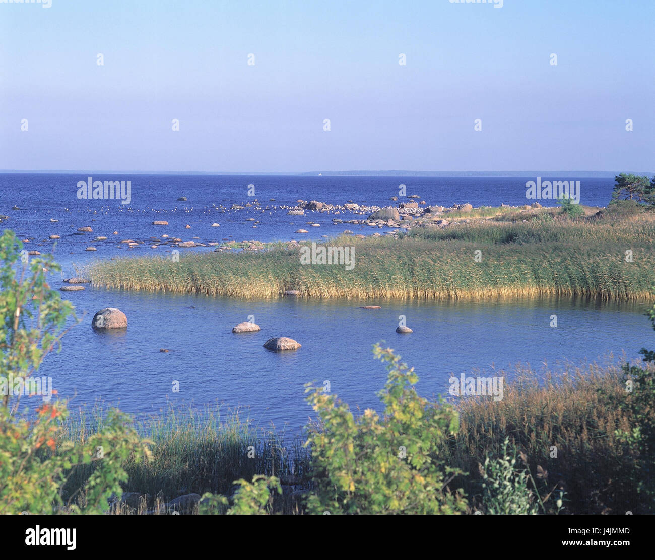 Estonia, Finnish sea bosom, nature reserve Europe, north-east Europe ...