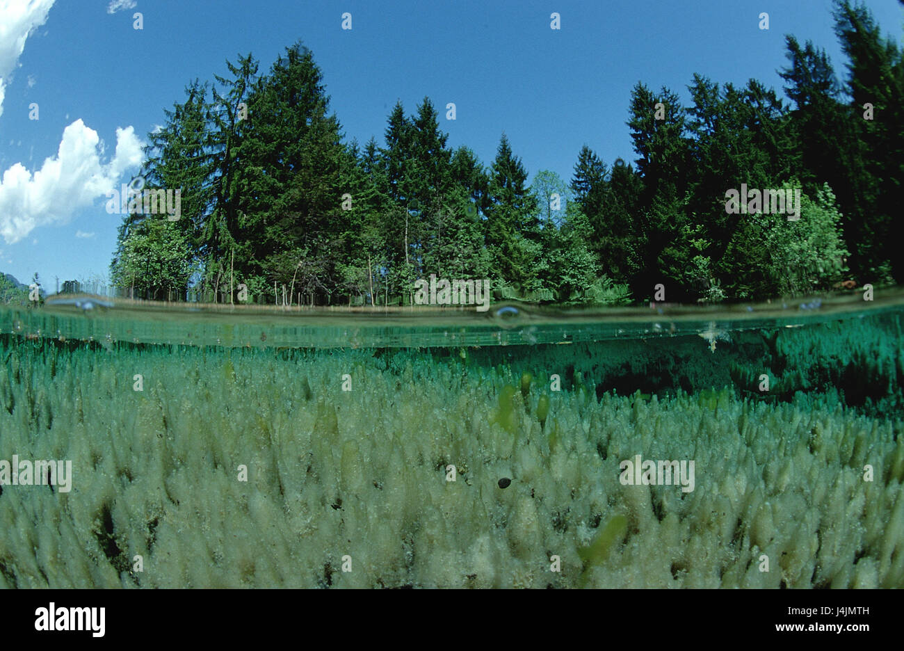 Mountain source, mountain lake Stock Photo - Alamy