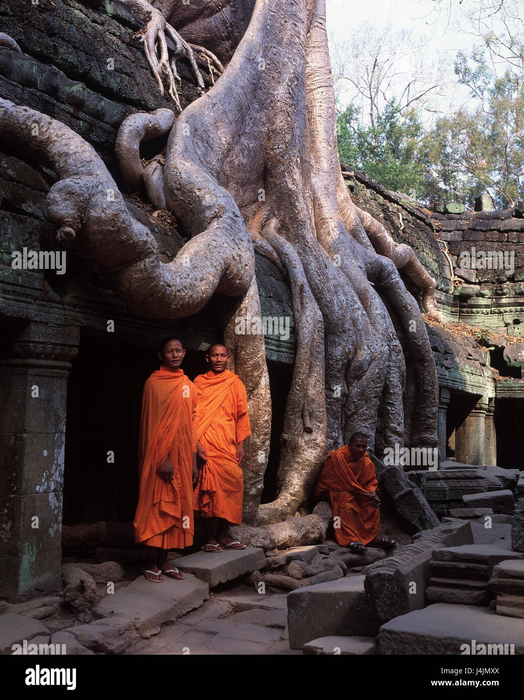 Cambodia, Angkor Wat, Khmer temple, detail, Ta Prohm, monks Asia, South ...