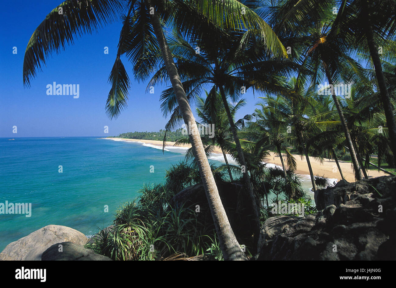 Sri Lanka, southwest coast, sea, palm beach South Asia, island, island ...