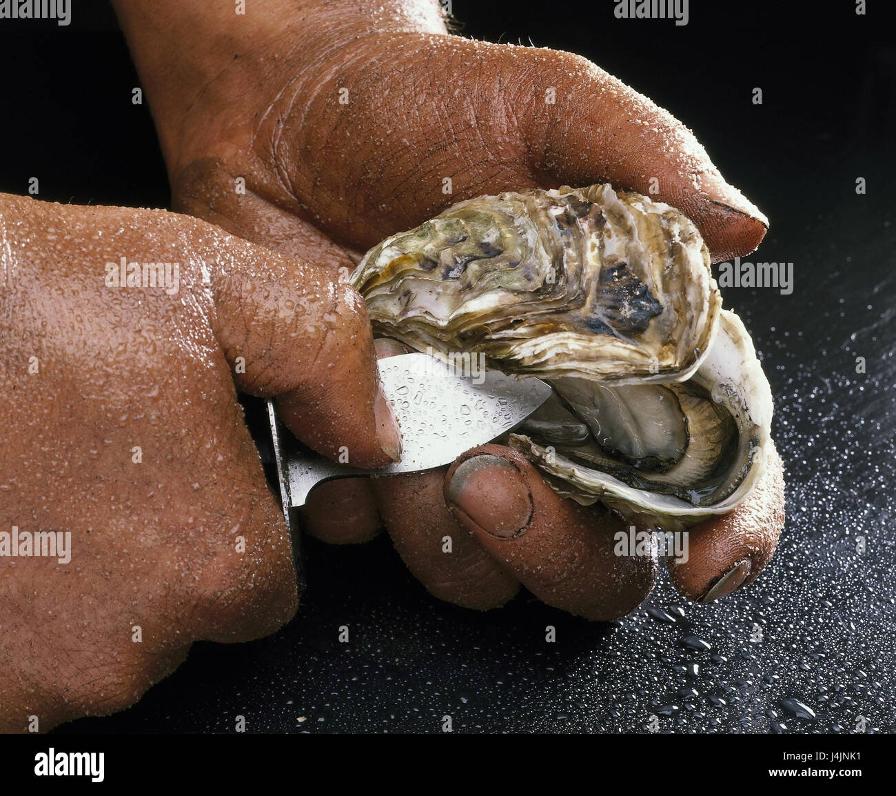 Hands, oyster knives, oyster, open food, food, mussel, sea animal ...