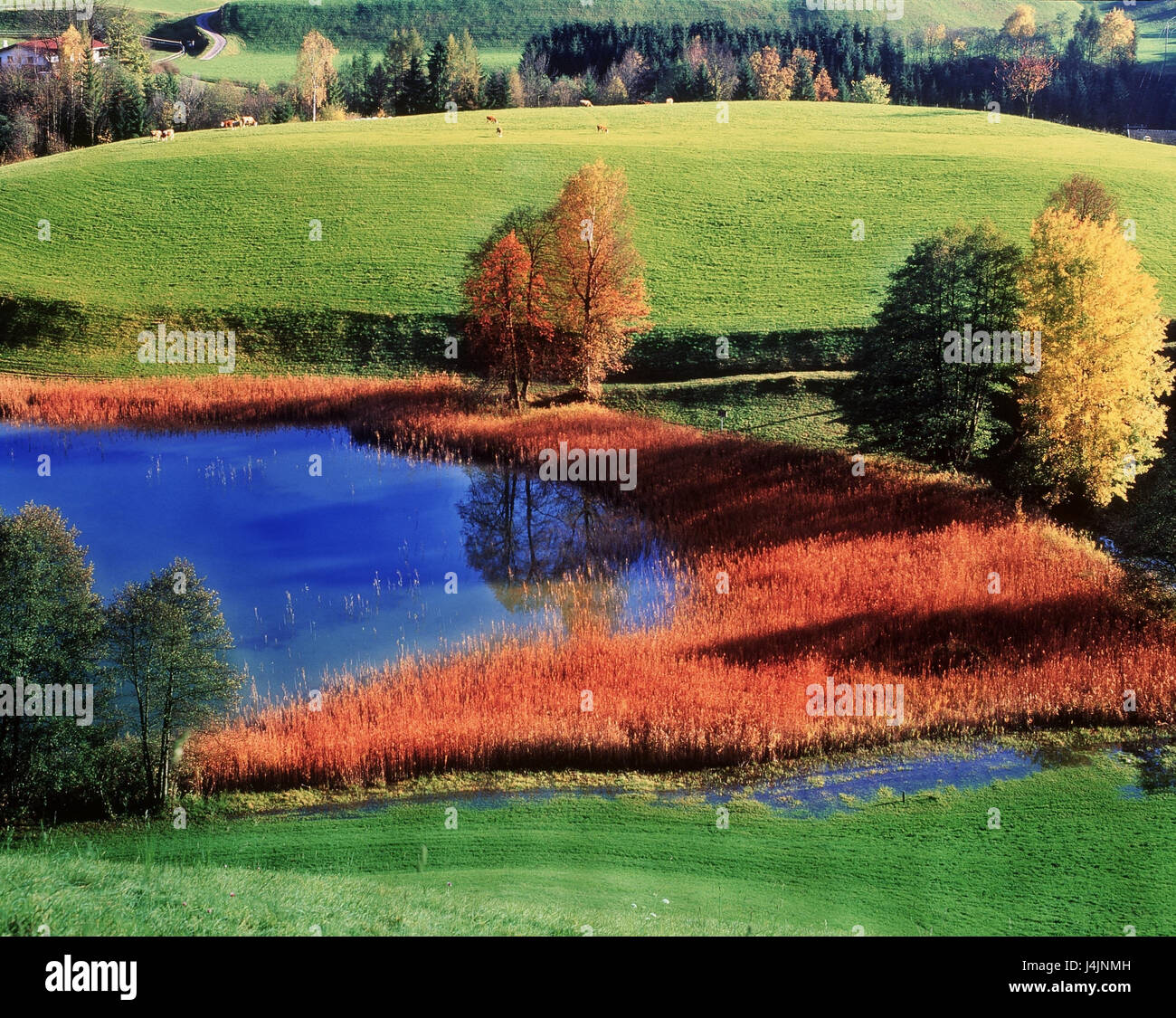 Austria, Tyrol, Unterinntal, Kramsach, women's lake, autumn Europe ...
